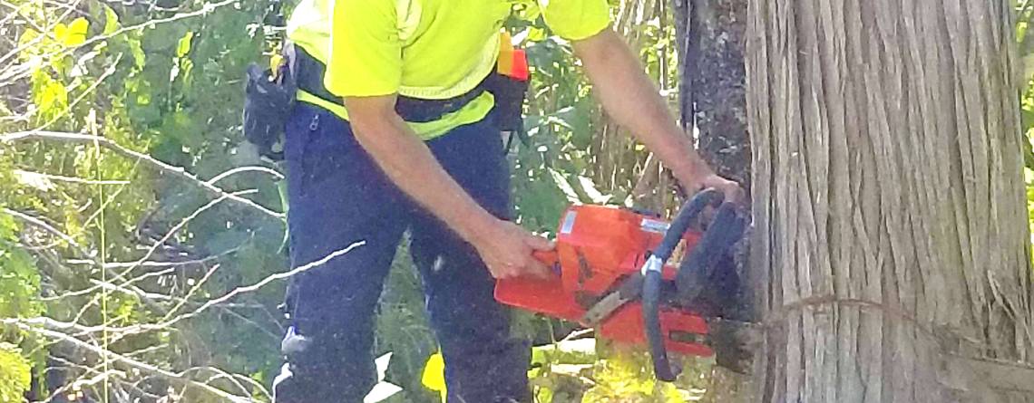 Tree Services in British Columbia - Okanagan Tree Cutters